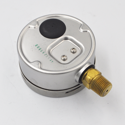 Manovac Inox- Bron DN4" -1+24 Bar/Psi Inf 1/2" Tecsis