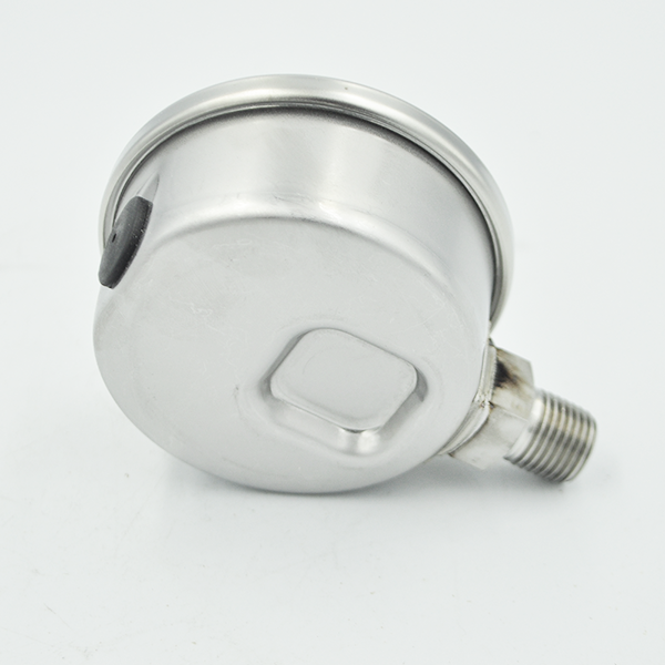 Manovac Inox- Bron DN4" -1+24 Bar/Psi Inf 1/2" Tecsis